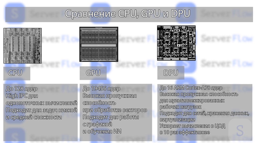 DPU — сопроцессоры обработки данных | Блог Serverflow